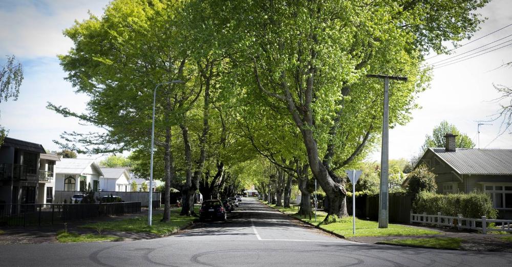 The rise and rise of townhouses in Hamilton • Assured Property Investments